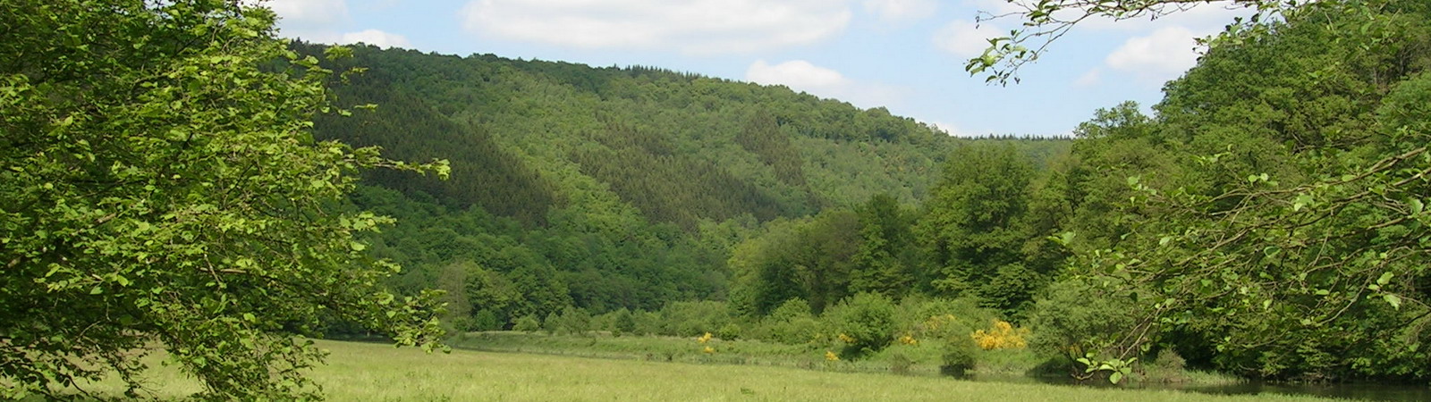 Natuurlijk erfgoed - Toerisme Belgisch Luxemburg -Ardennen België